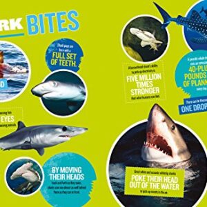 The Ultimate Book of Sharks (National Geographic Kids)