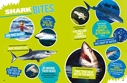 The Ultimate Book of Sharks (National Geographic Kids)