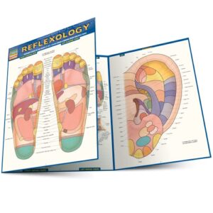 reflexology quickstudy laminated reference guide (quickstudy academic)