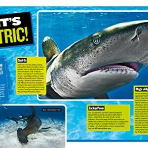 The Ultimate Book of Sharks (National Geographic Kids)