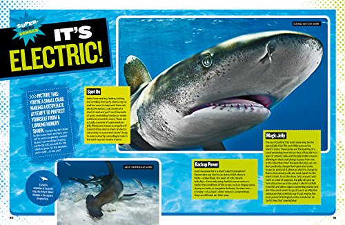 The Ultimate Book of Sharks (National Geographic Kids)