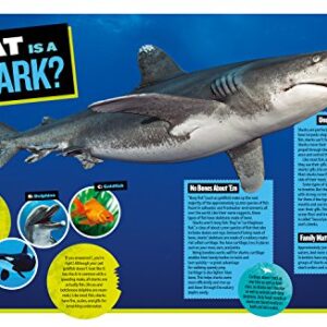 The Ultimate Book of Sharks (National Geographic Kids)