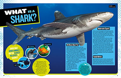 The Ultimate Book of Sharks (National Geographic Kids)