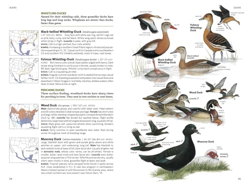 National Geographic Field Guide to the Birds of North America, 7th Edition