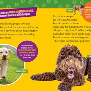 Woof! (National Geographic Kids Readers, Level 3): 100 FUN Facts About Dogs