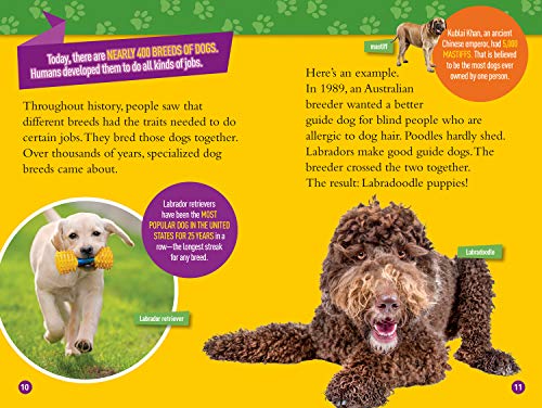 Woof! (National Geographic Kids Readers, Level 3): 100 FUN Facts About Dogs