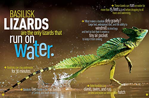 National Geographic Kids Ultimate Weird but True!: 1,000 Wild & Wacky Facts and Photos