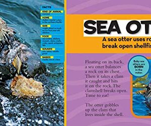 National Geographic Little Kids First Big Book of the Ocean (National Geographic Little Kids First Big Books)