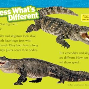 Alligators and Crocodiles (National Geographic Kids Readers)