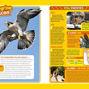 National Geographic Kids Bird Guide of North America, Second Edition