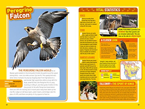 National Geographic Kids Bird Guide of North America, Second Edition