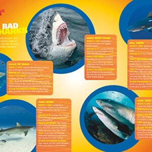 How to Survive Anything: Shark Attack, Lightning, Embarrassing Parents, Pop Quizzes, and Other Perilous Situations (National Geographic Kids)