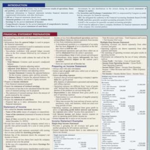 Financial Statements QuickStudy Laminated Reference Guide (QuickStudy Business)