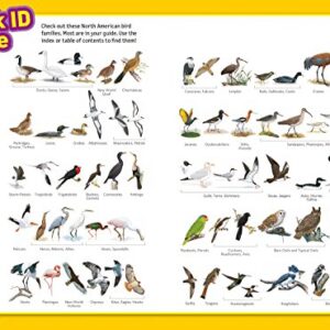 Ultimate Explorer Field Guide: Birds