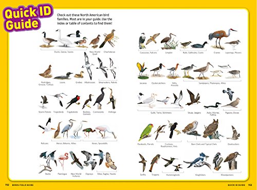 Ultimate Explorer Field Guide: Birds