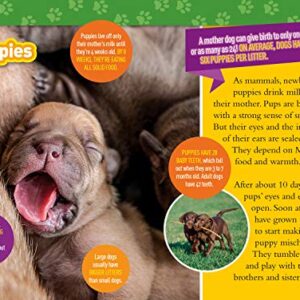 Woof! (National Geographic Kids Readers, Level 3): 100 FUN Facts About Dogs