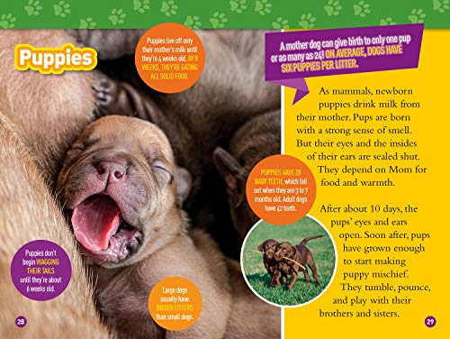 Woof! (National Geographic Kids Readers, Level 3): 100 FUN Facts About Dogs