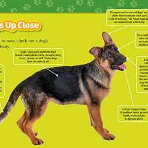 Woof! (National Geographic Kids Readers, Level 3): 100 FUN Facts About Dogs