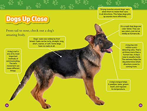 Woof! (National Geographic Kids Readers, Level 3): 100 FUN Facts About Dogs