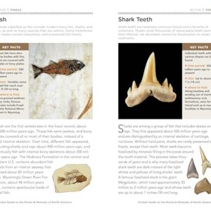 National Geographic Pocket Guide to Rocks and Minerals of North America (Pocket Guides)