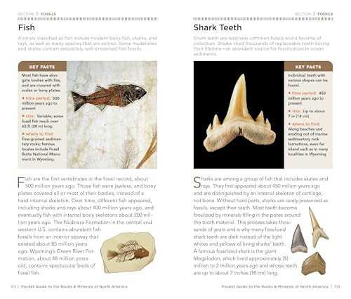 National Geographic Pocket Guide to Rocks and Minerals of North America (Pocket Guides)