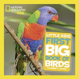 national geographic little kids first big book of birds (national geographic little kids first big books)