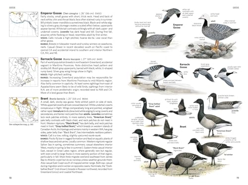 National Geographic Field Guide to the Birds of North America, 7th Edition