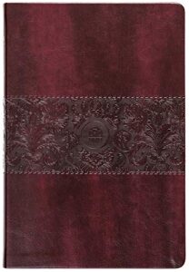 the passion translation new testament (2020 edition) large print burgundy: with psalms, proverbs, and song of songs (faux leather) – a perfect gift for confirmation, holidays, and more