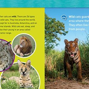 Cats (National Geographic Kids Readers, Level 1/Co-Reader)