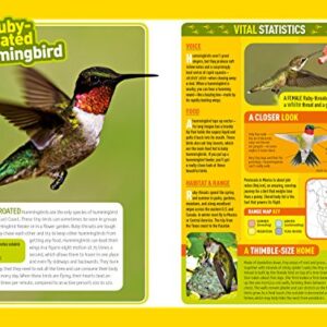 National Geographic Kids Bird Guide of North America, Second Edition