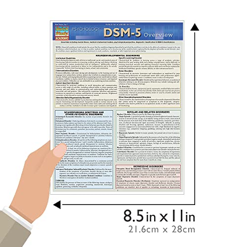 DSM-5 Overview (QuickStudy Academic)