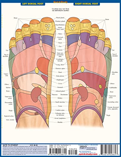 Reflexology QuickStudy Laminated Reference Guide (QuickStudy Academic)