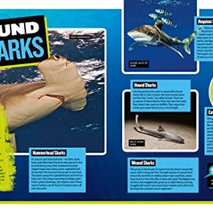 The Ultimate Book of Sharks (National Geographic Kids)