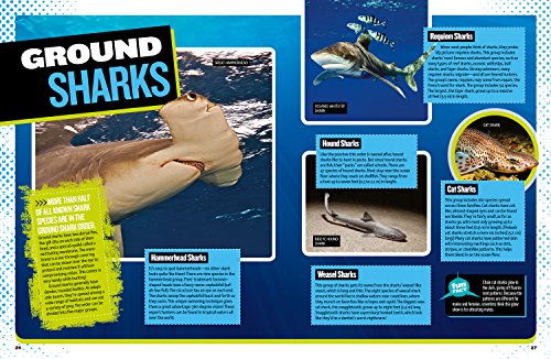 The Ultimate Book of Sharks (National Geographic Kids)