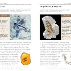 National Geographic Pocket Guide to Rocks and Minerals of North America (Pocket Guides)