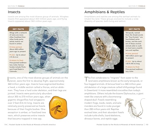 National Geographic Pocket Guide to Rocks and Minerals of North America (Pocket Guides)