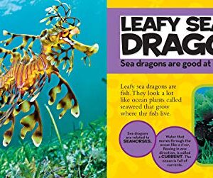 National Geographic Little Kids First Big Book of the Ocean (National Geographic Little Kids First Big Books)