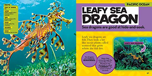 National Geographic Little Kids First Big Book of the Ocean (National Geographic Little Kids First Big Books)