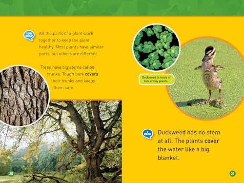 Plants (National Geographic Kids Readers, Level 1/Co-Reader)