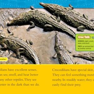 Alligators and Crocodiles (National Geographic Kids Readers)