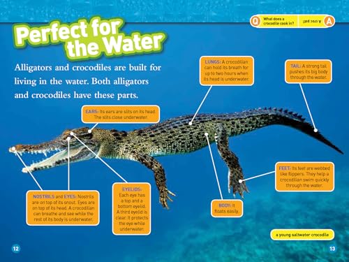 Alligators and Crocodiles (National Geographic Kids Readers)