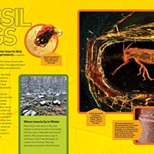 Ultimate Bugopedia: The Most Complete Bug Reference Ever (National Geographic Kids)