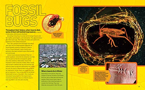 Ultimate Bugopedia: The Most Complete Bug Reference Ever (National Geographic Kids)