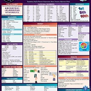 ESL - English as a Second Language: a QuickStudy Laminated Reference Guide (QuickStudy Academic)