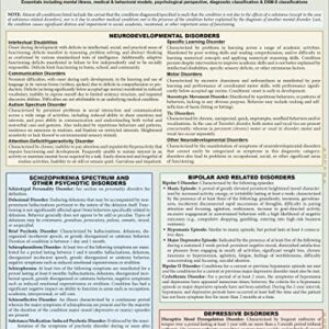 DSM-5 Overview (QuickStudy Academic)