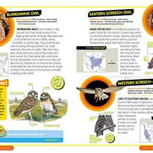 Ultimate Explorer Field Guide: Birds