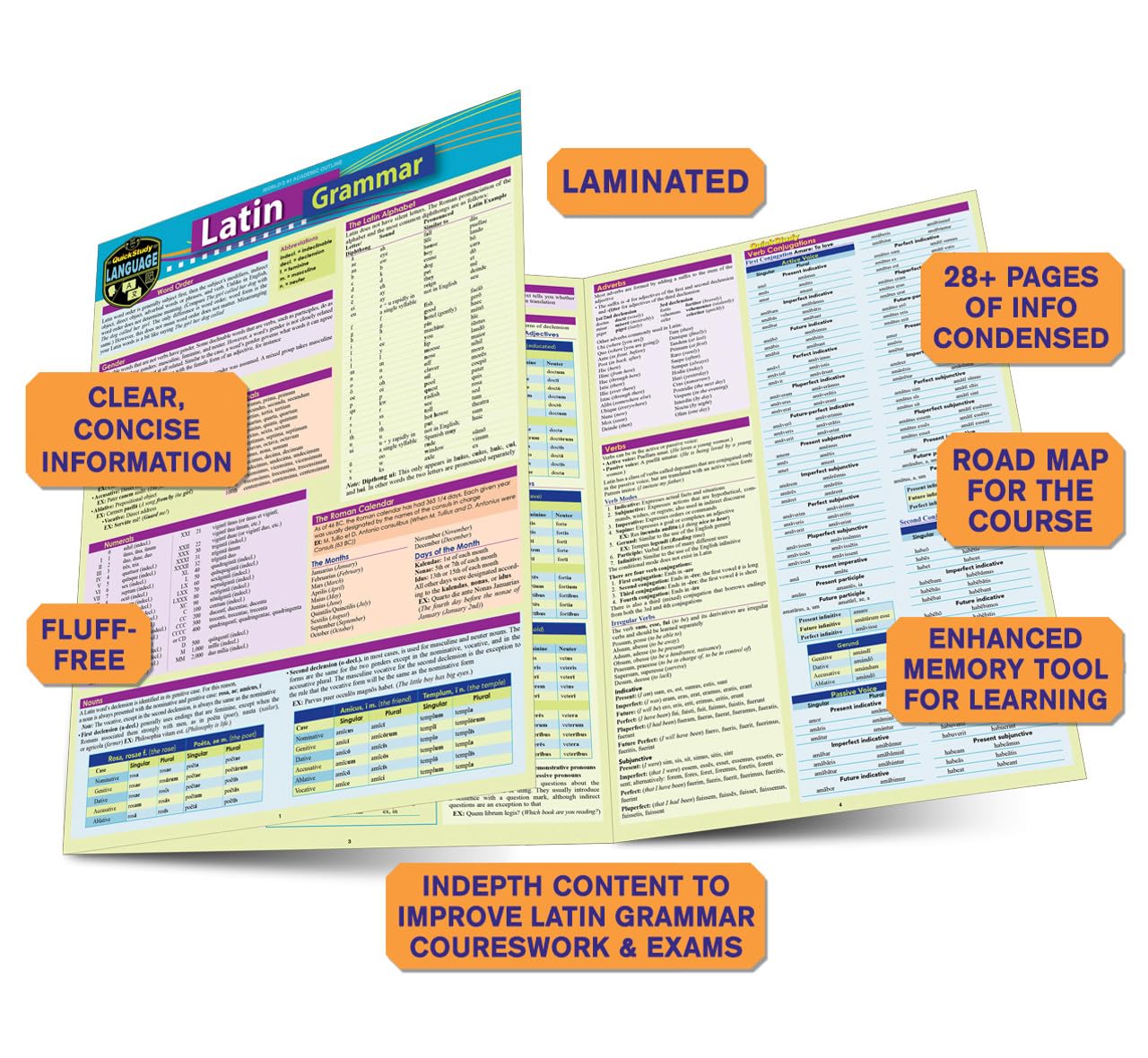 Latin Grammar (English and Latin Edition) QuickStudy Laminated Reference Guide (Quickstudy Language)