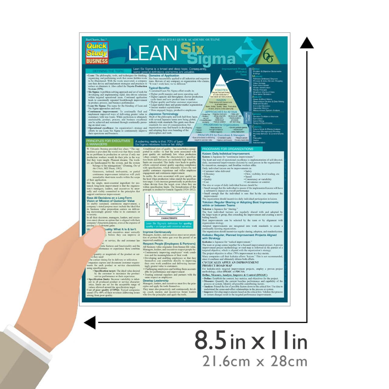 Lean Six Sigma QuickStudy Laminated Reference Guide (QuickStudy Business)