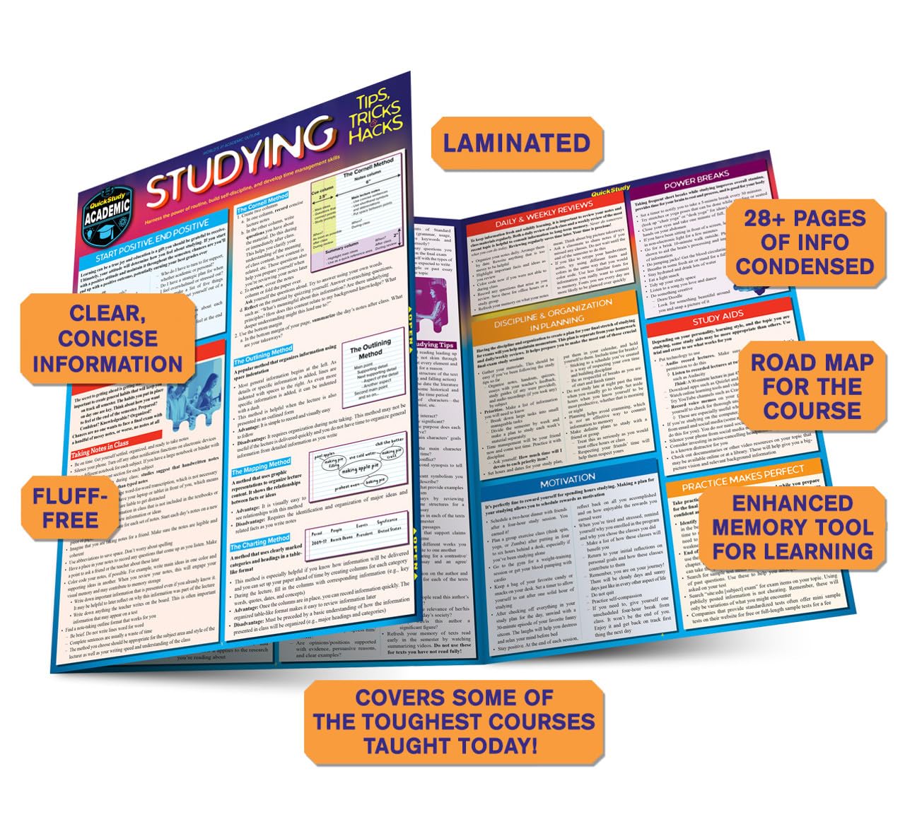 Studying Tips, Tricks & Hacks QuickStudy Laminated Reference Guide (QuickStudy Academic)