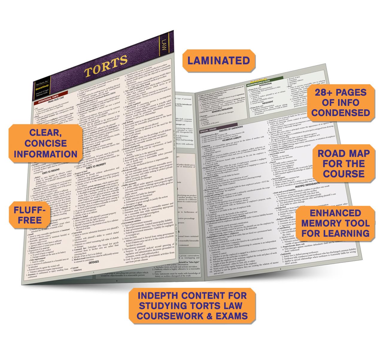 Torts QuickStudy Laminated Reference Guide (QuickStudy Law)